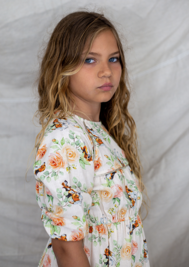 Duchess Dress - Hound – Bella and Lace